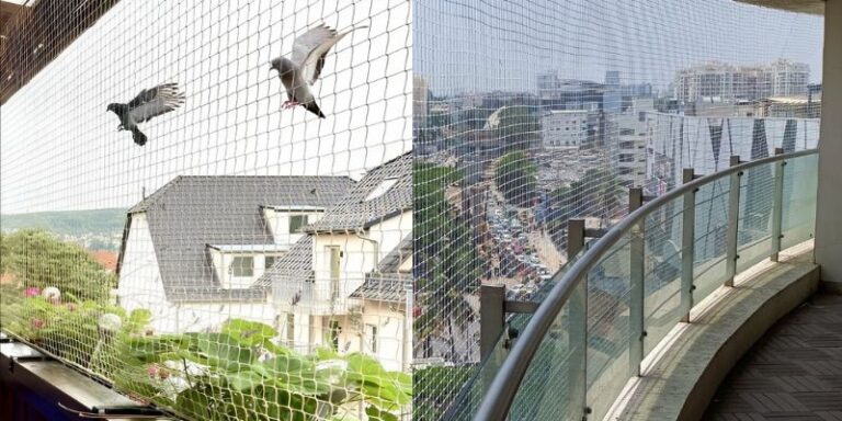 A Guide for Choosing the Right Pigeon Net for Your Balcony